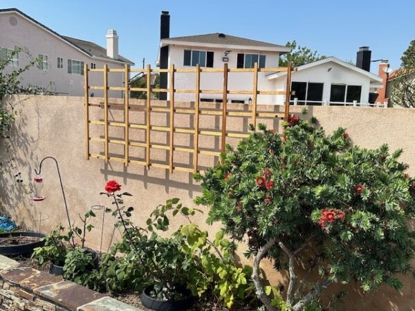 Step-by-Step Guide to Mounting a Trellis on a Brick Wall